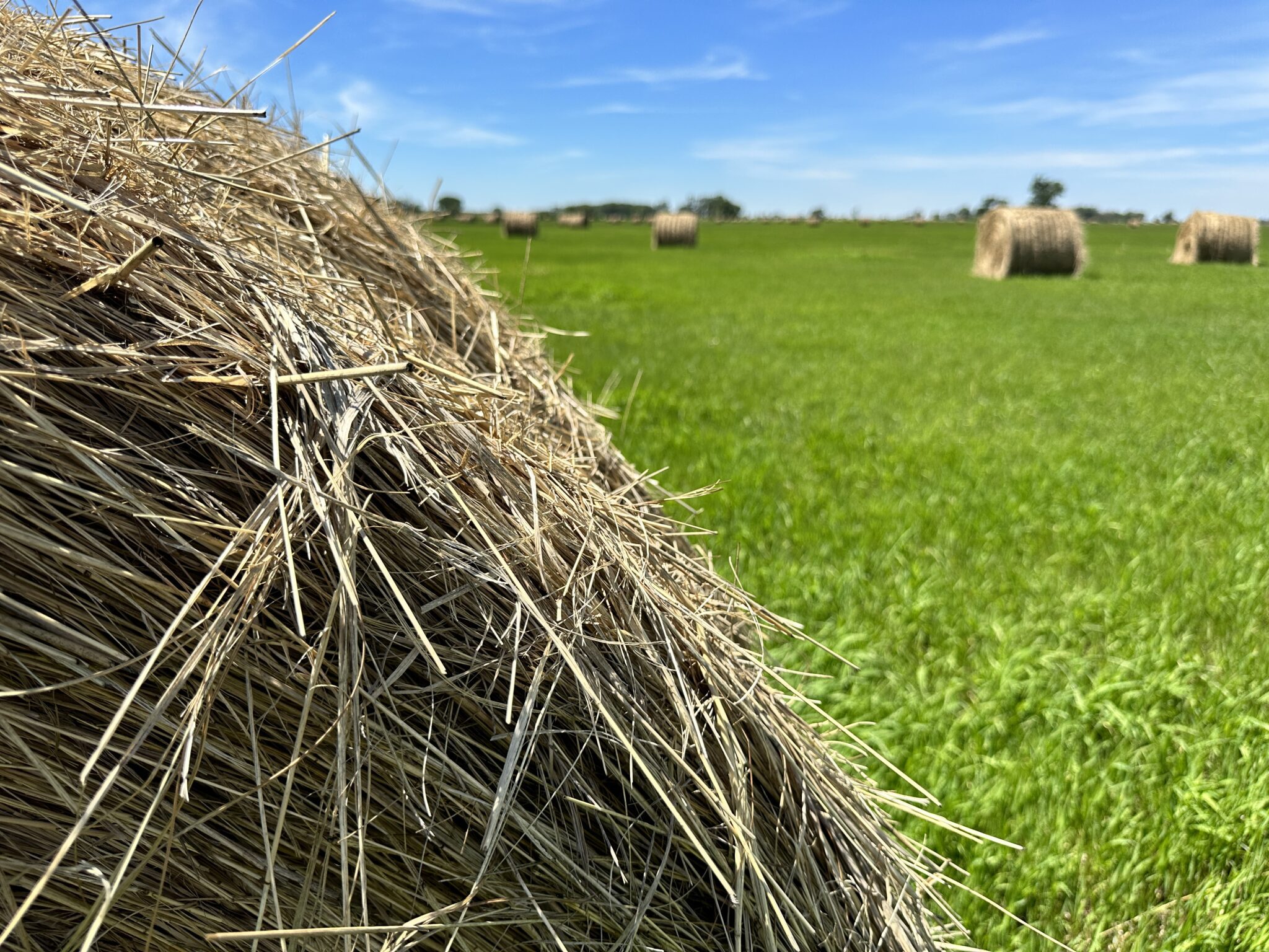 Contact Us | Agri Affiliates: Complete Ag Land Sales, Appraisals ...