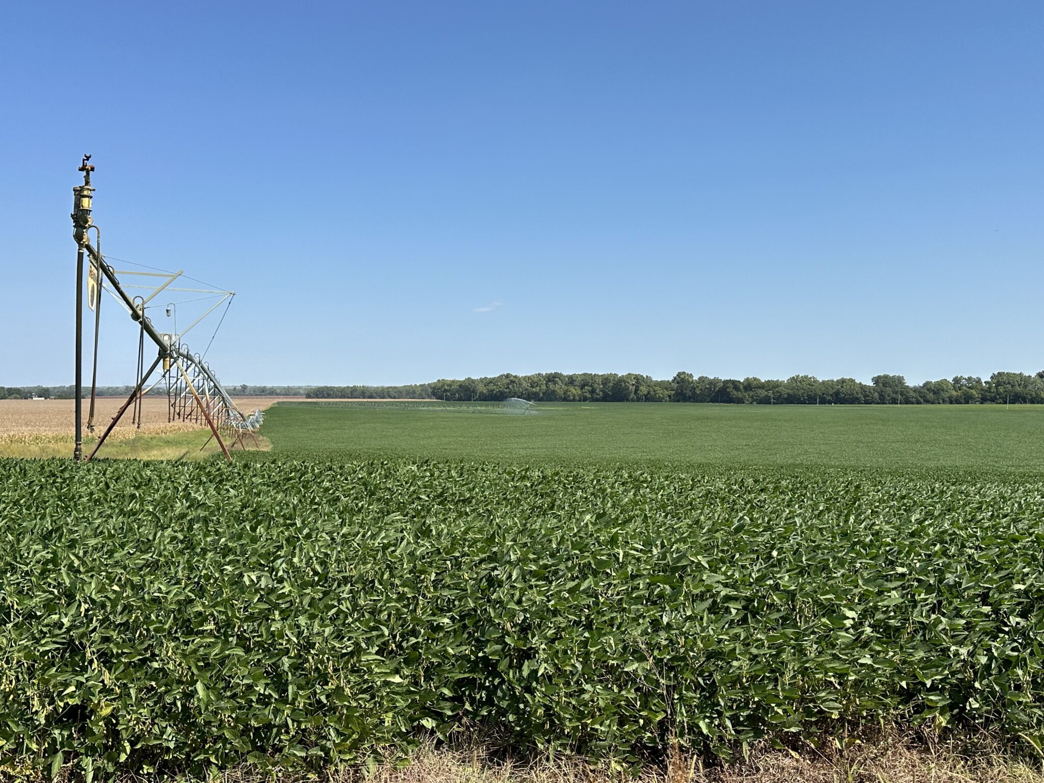 Sold Listings | Agri Affiliates: Complete Ag Land Sales, Appraisals ...
