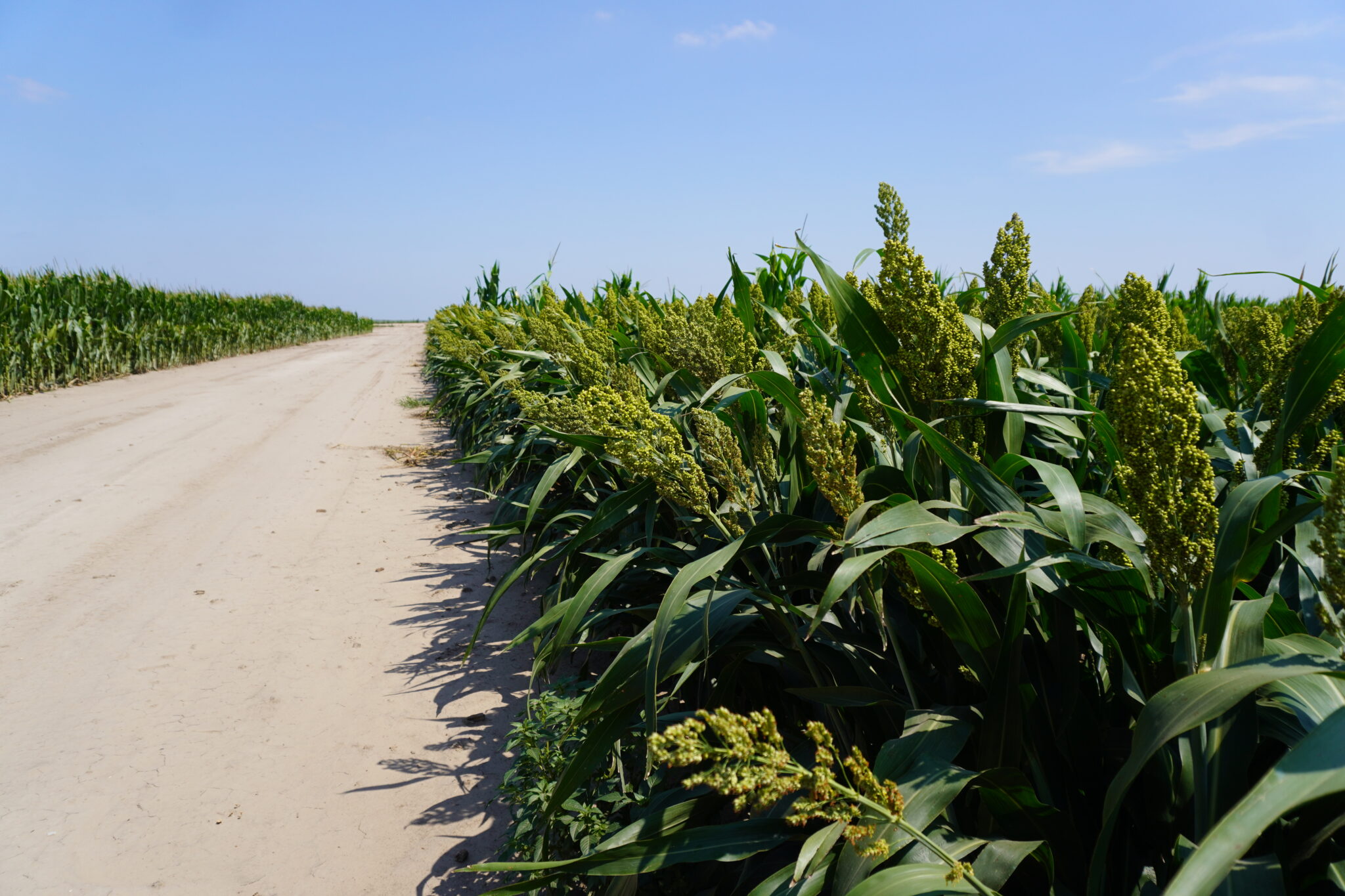 Rentals | Agri Affiliates: Complete Ag Land Sales, Appraisals ...